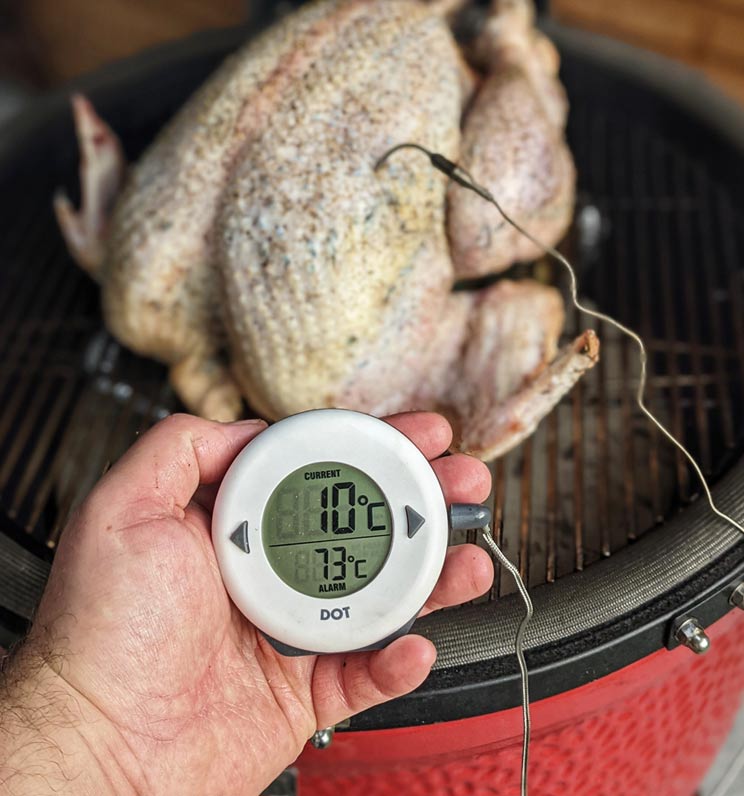 How to Use a Meat Thermometer Accurately